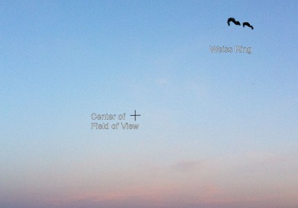 Weiss Rings: More than your typical eyeball floaters – Ray's Blog