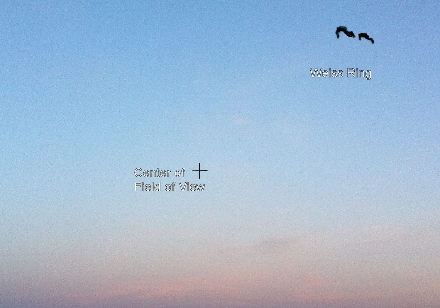 Weiss Rings: More than your typical eyeball floaters – Ray's Blog